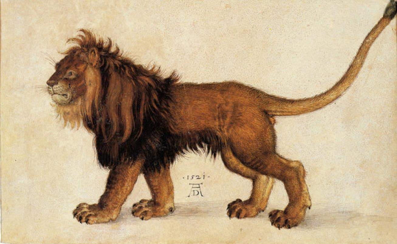 Kurs Nr. 589 Albrecht Duerer | Akademie der Kunst und Philosophie